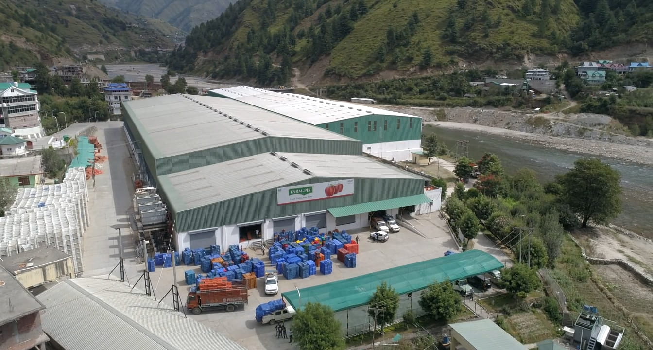 Growing Apple Red Smiles | Adani Farm Pik